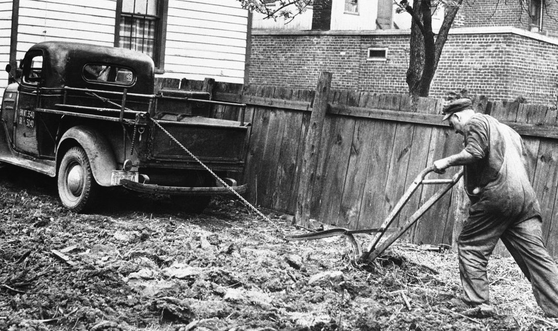 WW2 Victory Garden | News, Sports, Jobs - The Express